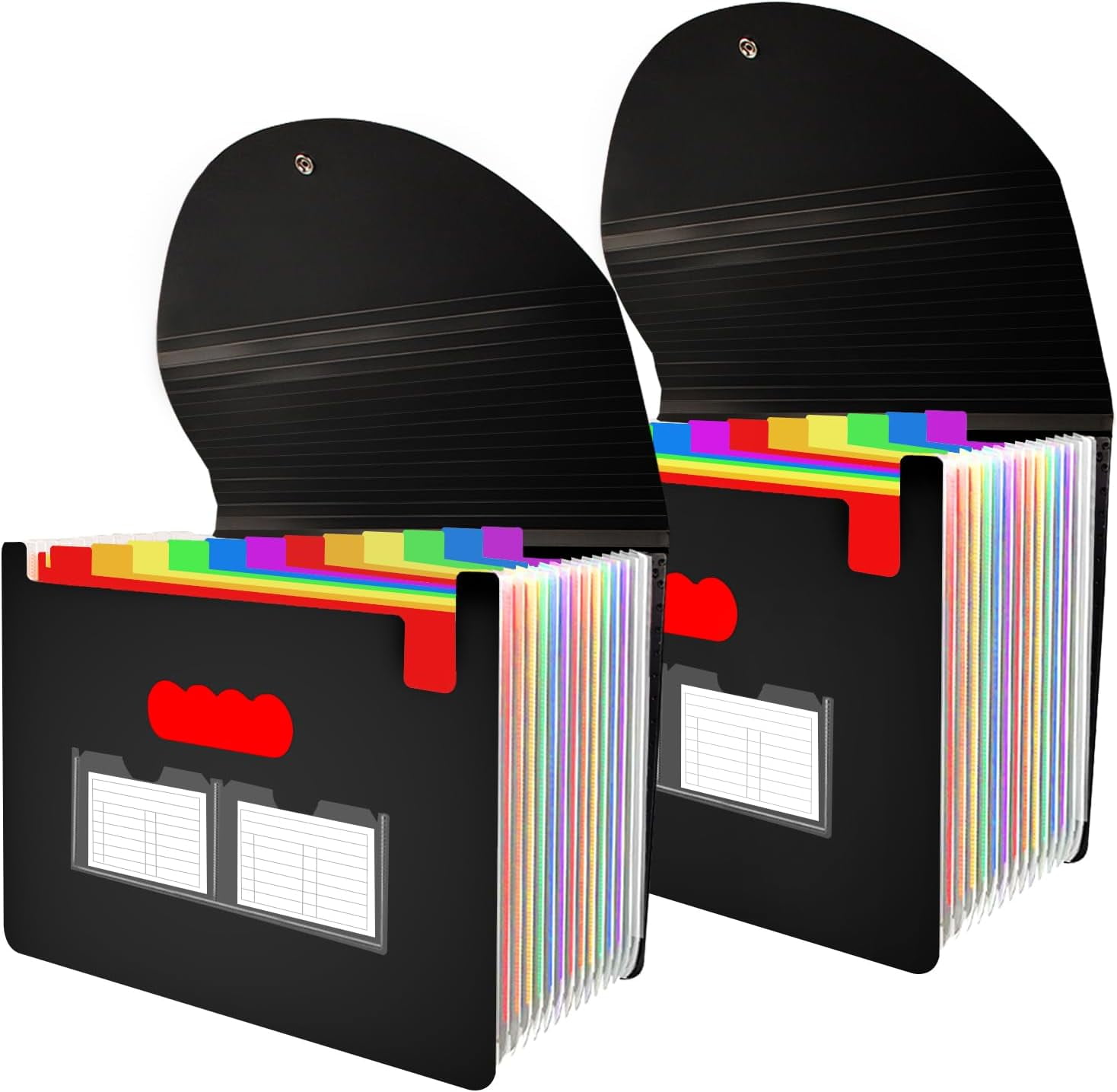 2 Pack Accordion File Organizer, Accordian File Organizer 12 Pocket ...