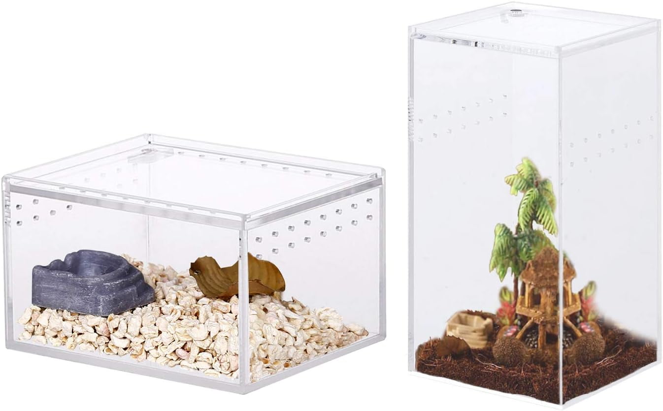 2 Pack Acrylic Reptile Terrarium Insect Tarantula Enclosure Tank Snail ...