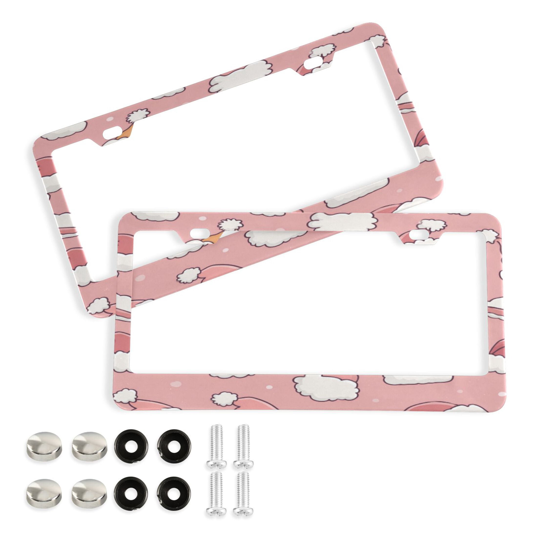 2-Pack Aluminum License Plate Frame with 2 Holes for GM License Plate ...