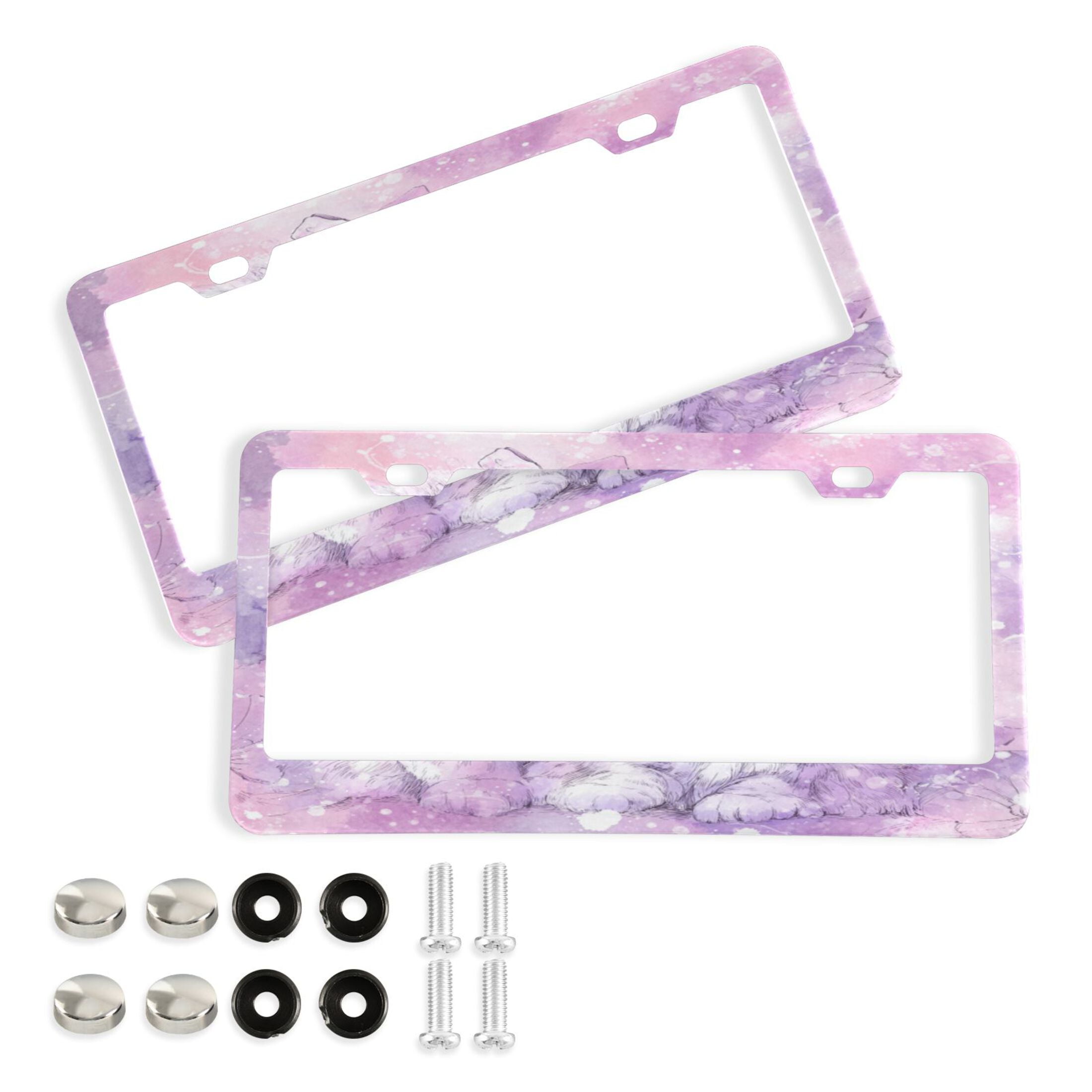 2-Pack Aluminum License Plate Frame with 2 Holes for GM License Plate ...