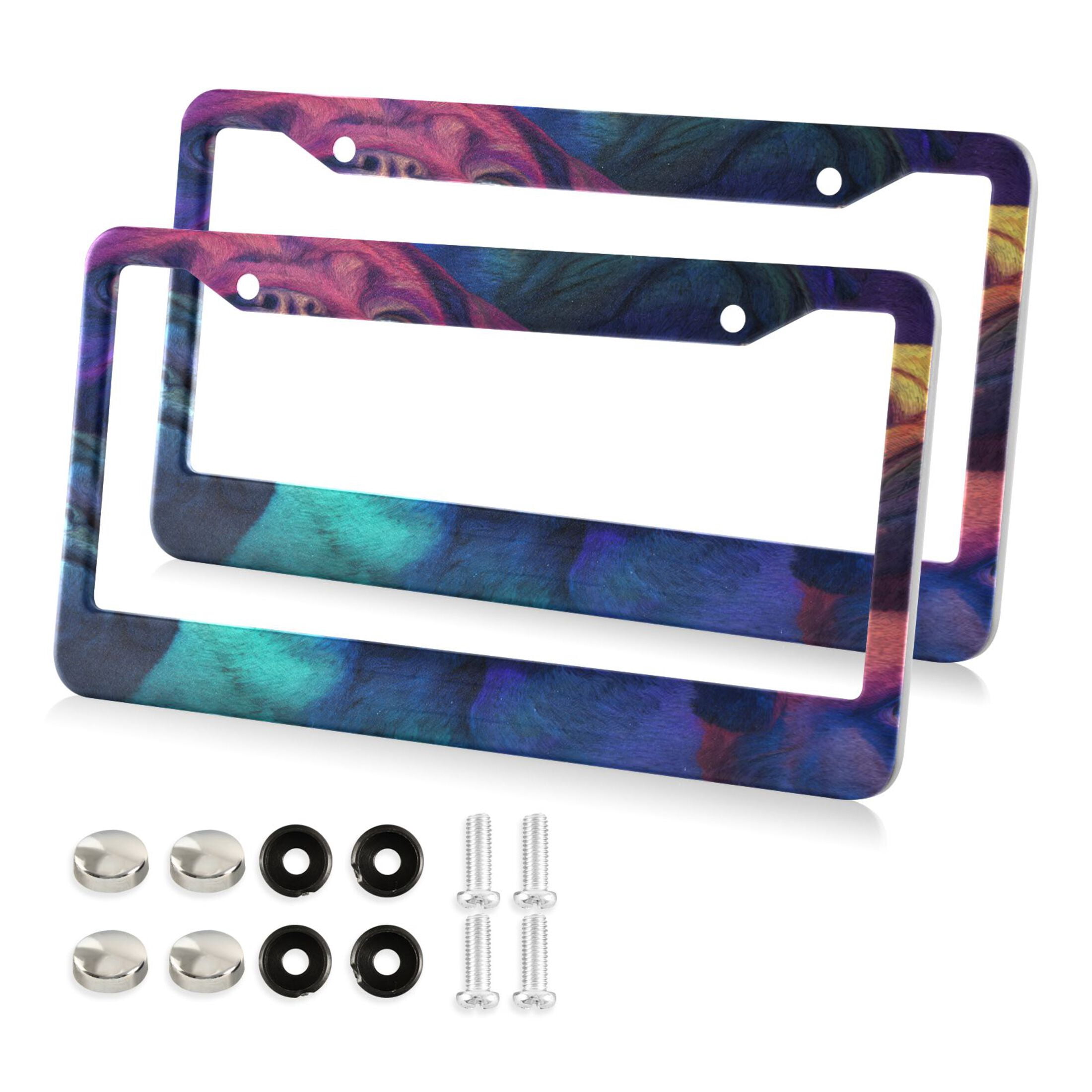 2-Pack Aluminum License Plate Frame with 2 Holes for GM License Plate ...