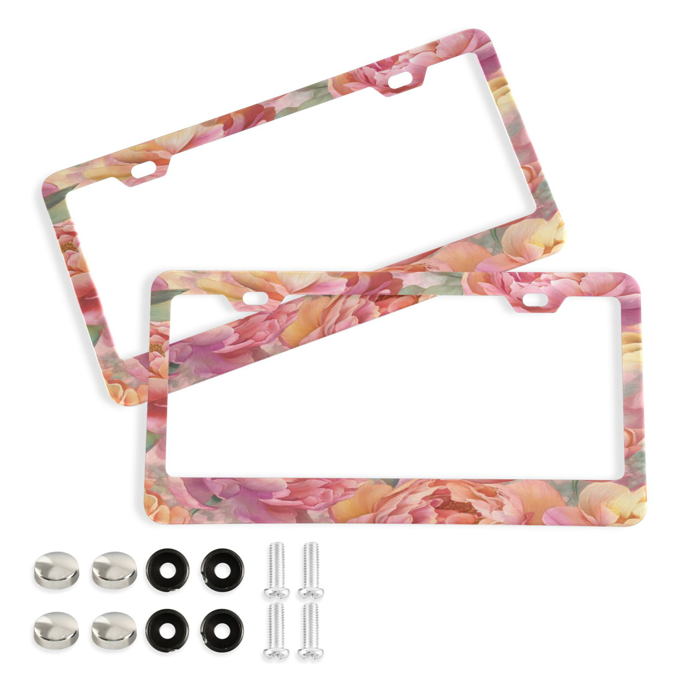 2-Pack Aluminum License Plate Frame with 2 Holes for GM License Plate ...