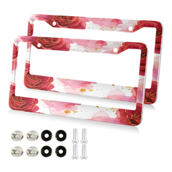 2-Pack Aluminum License Plate Frame with 2 Holes for GM License Plate ...