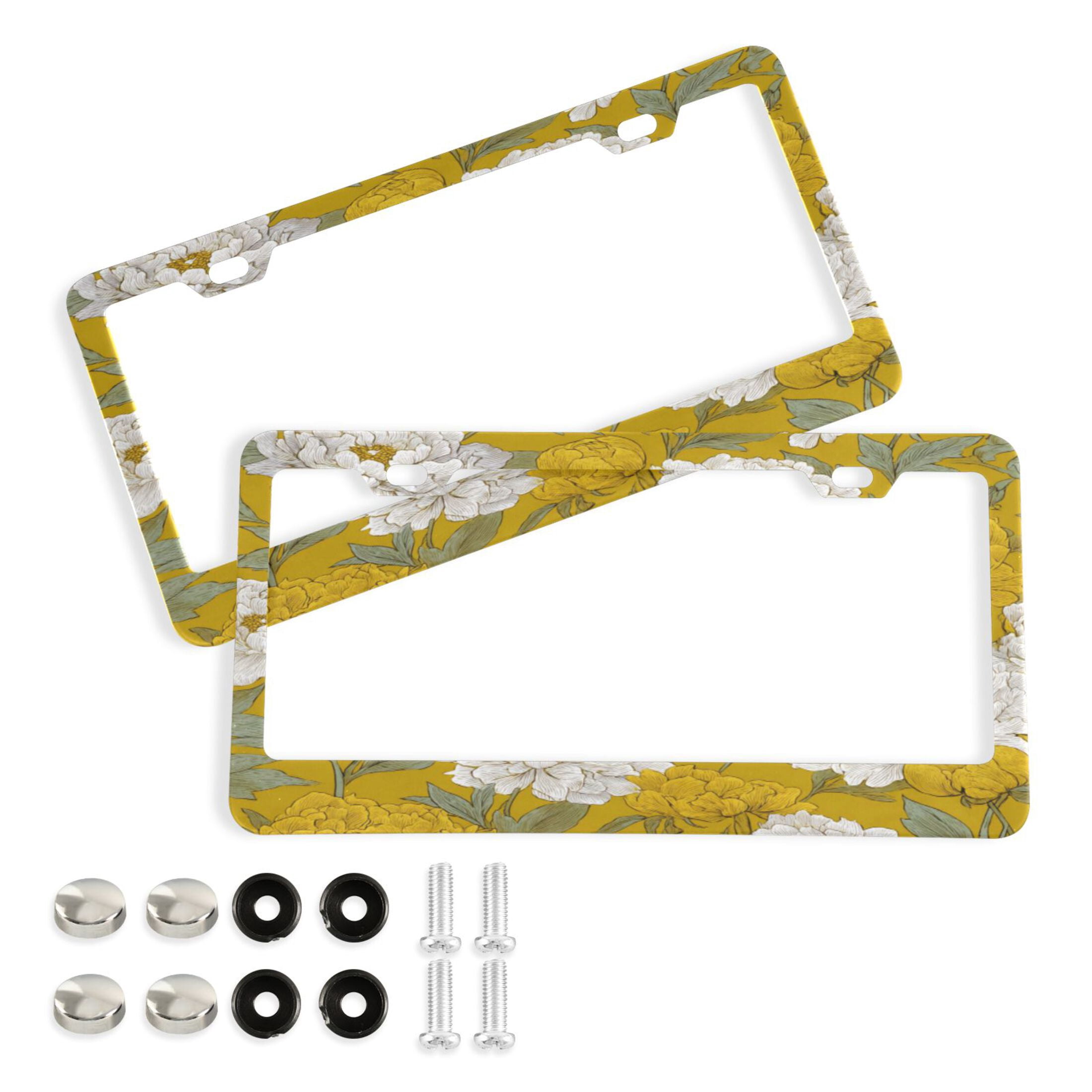 2-Pack Aluminum License Plate Frame with 2 Holes for GM License Plate ...