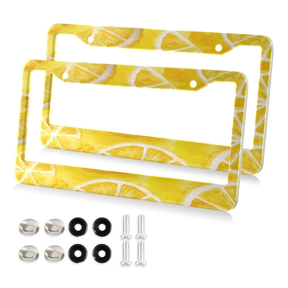 2-Pack Aluminum License Plate Frame with 2 Holes for GM License Plate ...