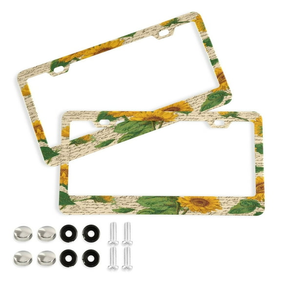 2-Pack Aluminum License Plate Frame with 2 Holes for GM License Plate ...