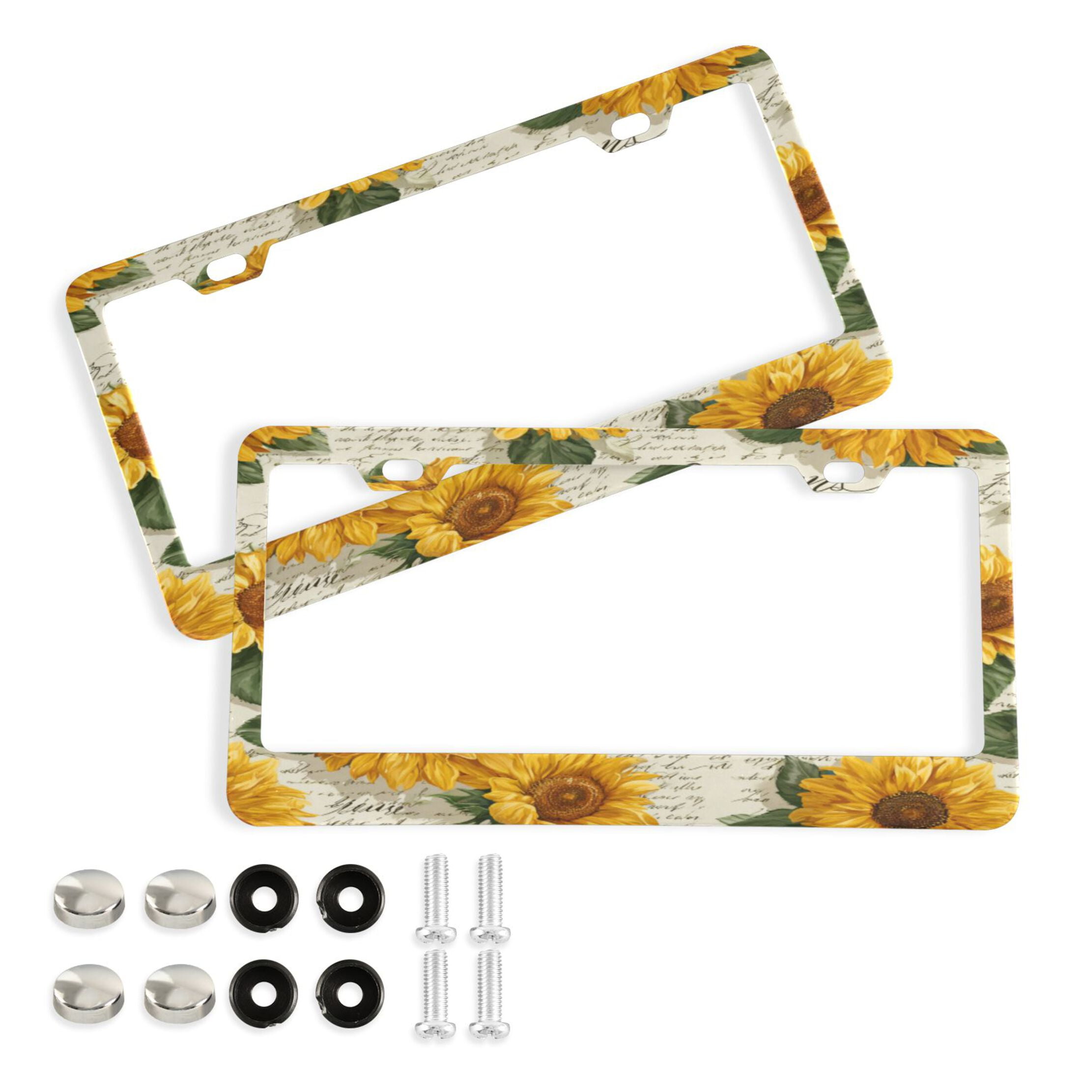 2-Pack Aluminum License Plate Frame with 2 Holes for GM License Plate ...