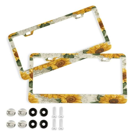 2-Pack Aluminum License Plate Frame with 2 Holes for GM License Plate ...