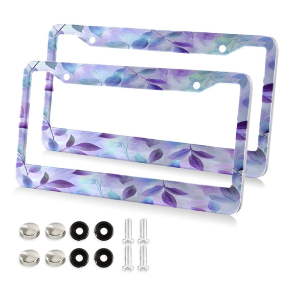 2-Pack Aluminum License Plate Frame with 2 Holes for Round GM License ...
