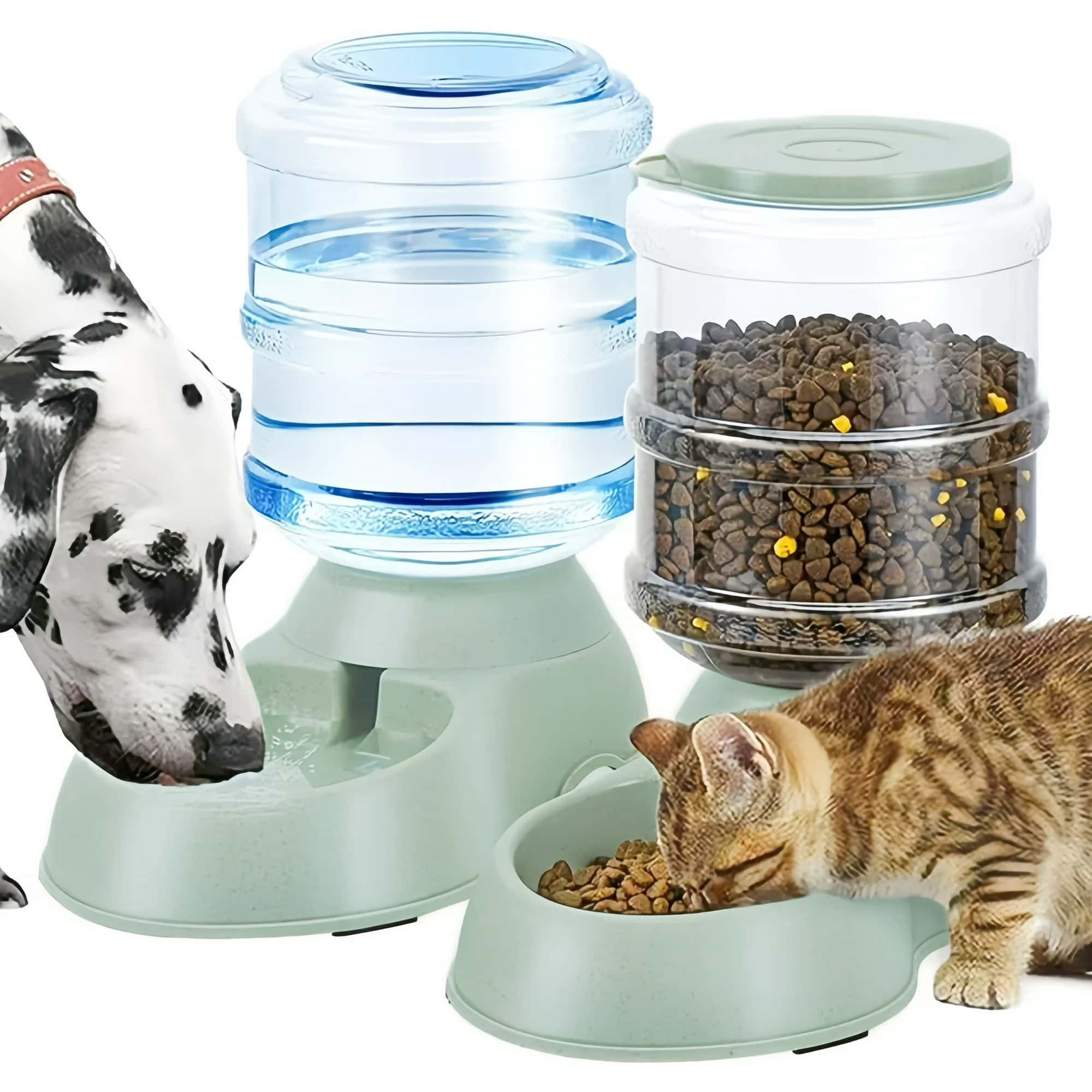 2 Pack Automatic Cat Feeder and Water Dispenser in Set Pet Food Bowl ...
