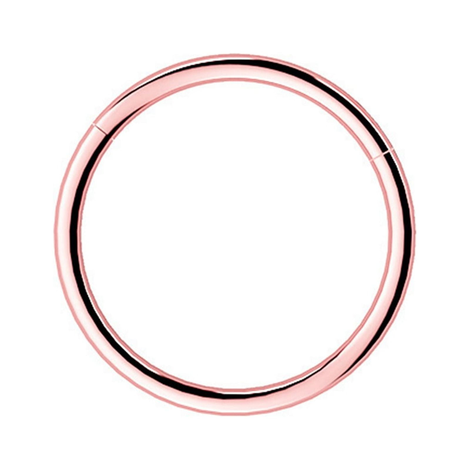 (2-Pack) Beautiful Nose Ring and Hoop Nose Rings for Women 20G Stylish ...