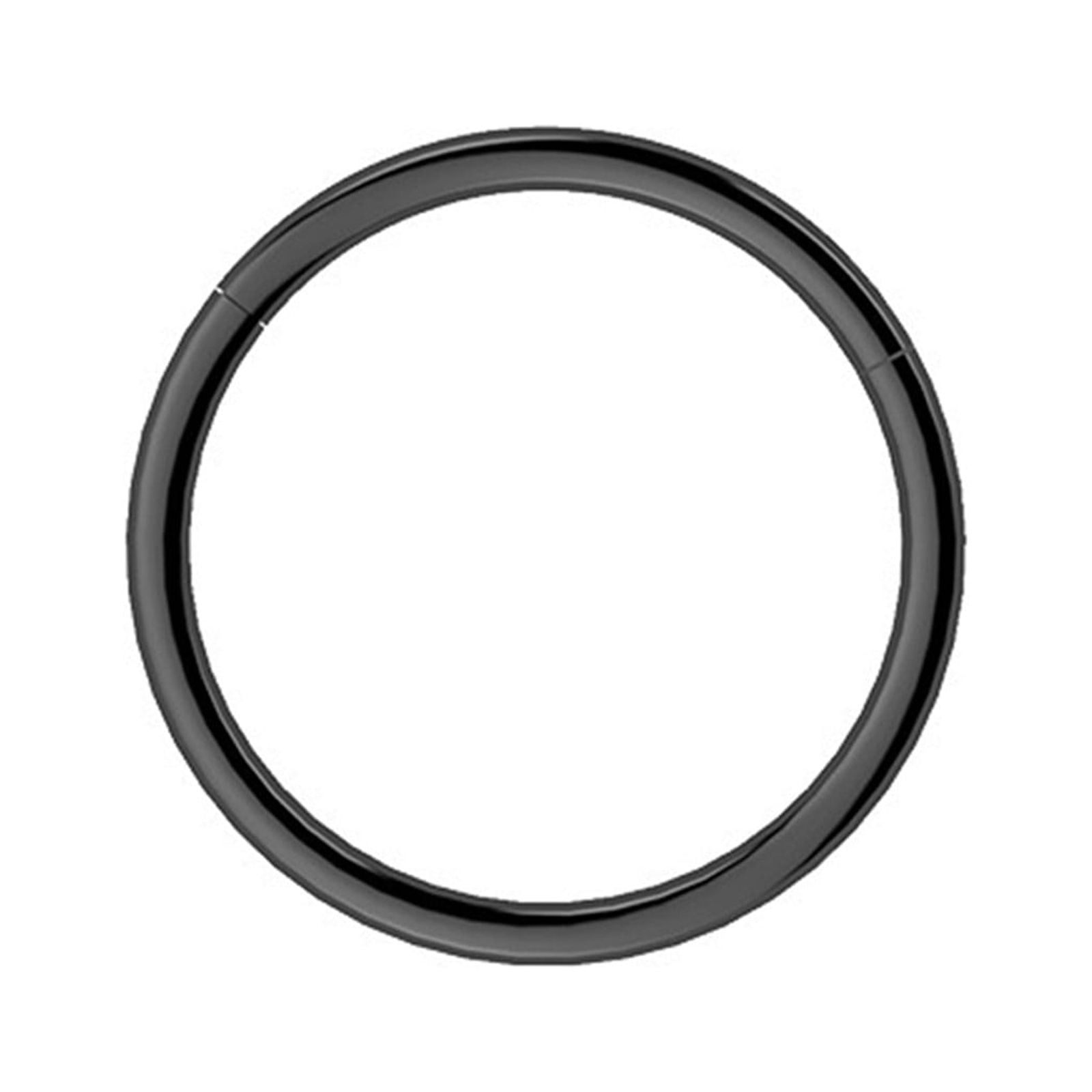 (2-Pack) Beautiful Nose Ring and Stud Nose Rings Stylish Nose Piercing ...