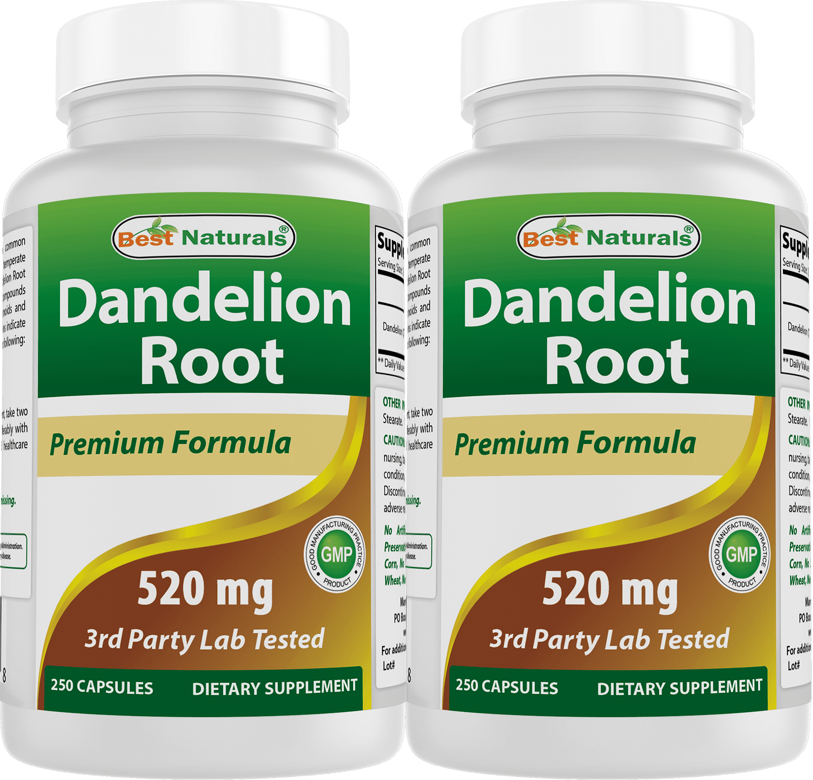 Best Naturals Dandelion Root Supplement, 520 mg, Pack of 2 - 250 ...
