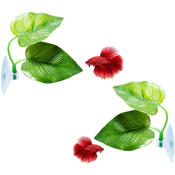 2 Pack Betta Fish Leaf Pad Improves Betta's Health by Simulating The ...