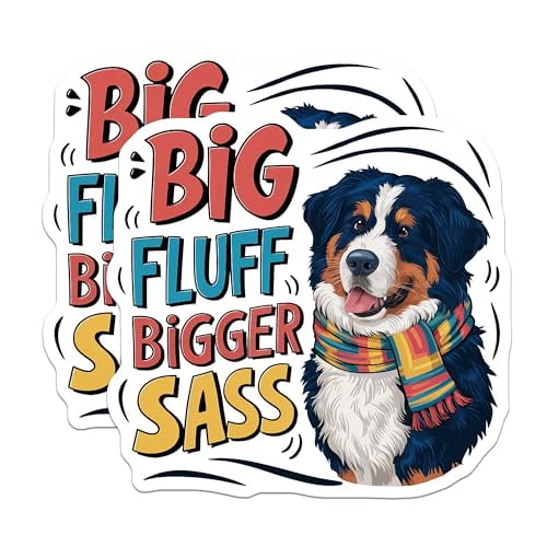 (2 Pack) Big Fluff Bigger Sass Magnets Magnets - 5" On Longest Side ...