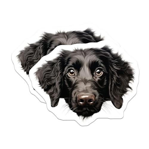 (2 Pack) Black Dog Face Decor Magnet - 5" On Longest Side - Sticks to ...