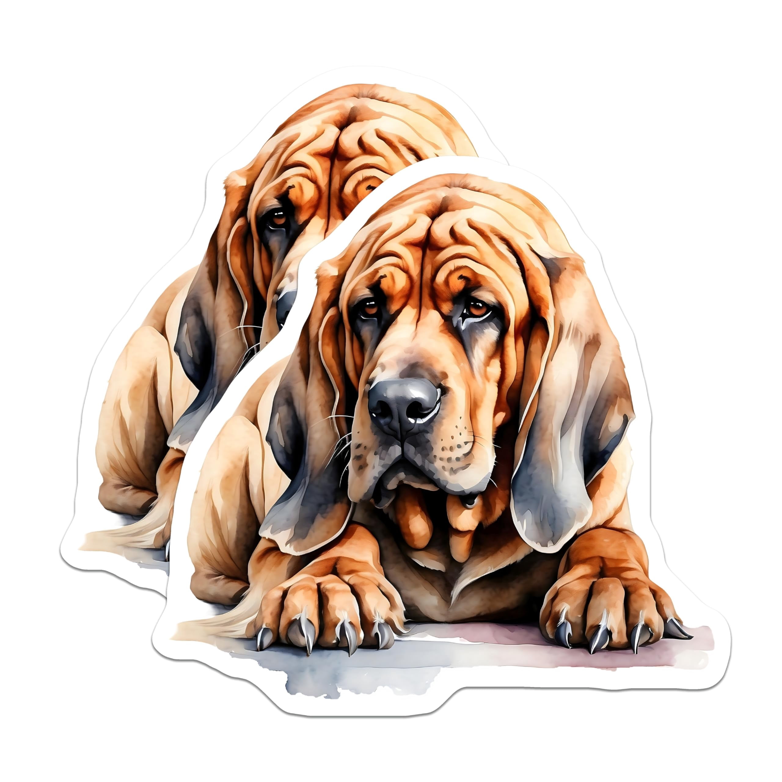 (2 Pack) Bloodhound Magnets - Dog Breed Art Magnets - Hound Dog Fridge ...