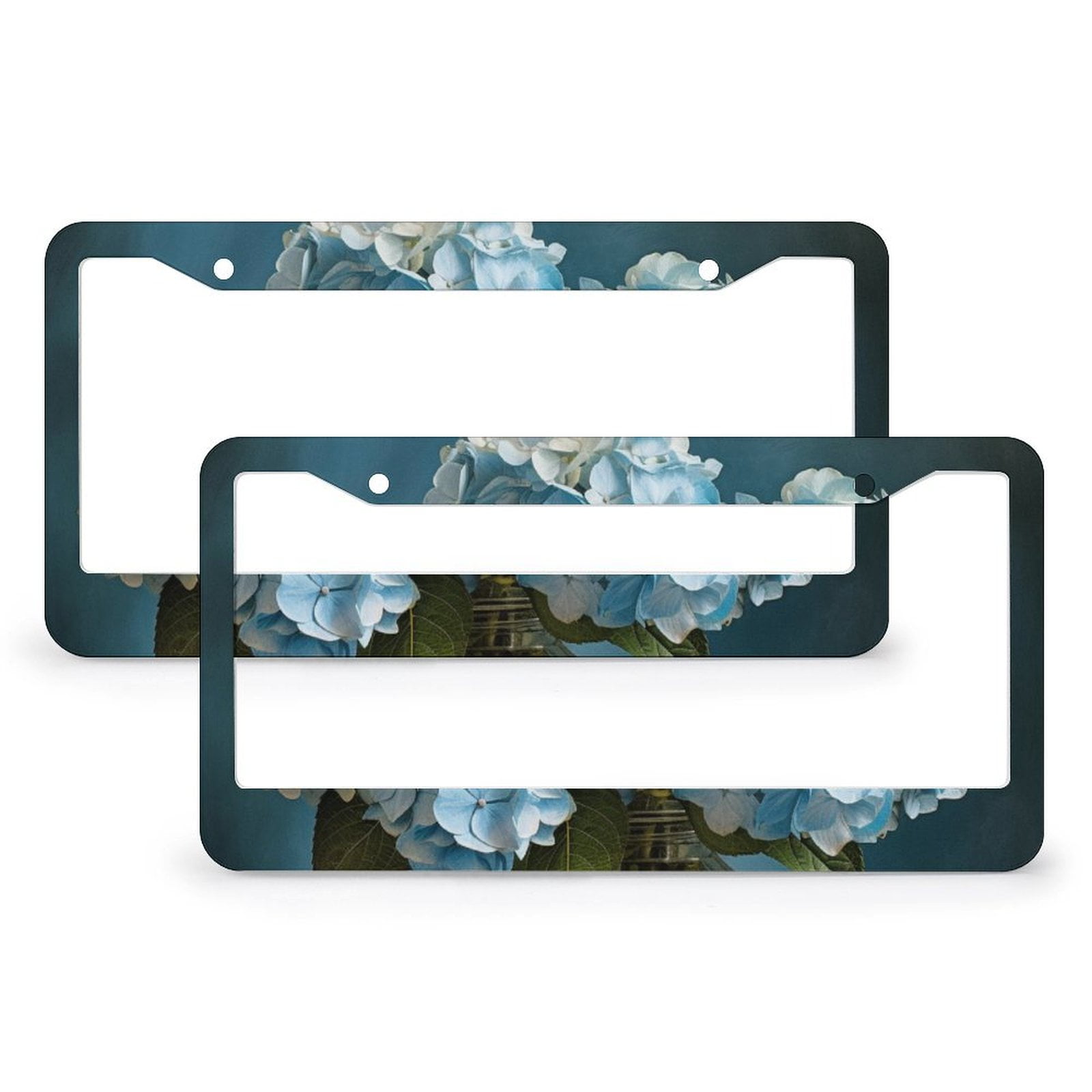 2 Pack Blue Hydrangeas License Plate Frame Watercolor Blossom Hydrangea ...