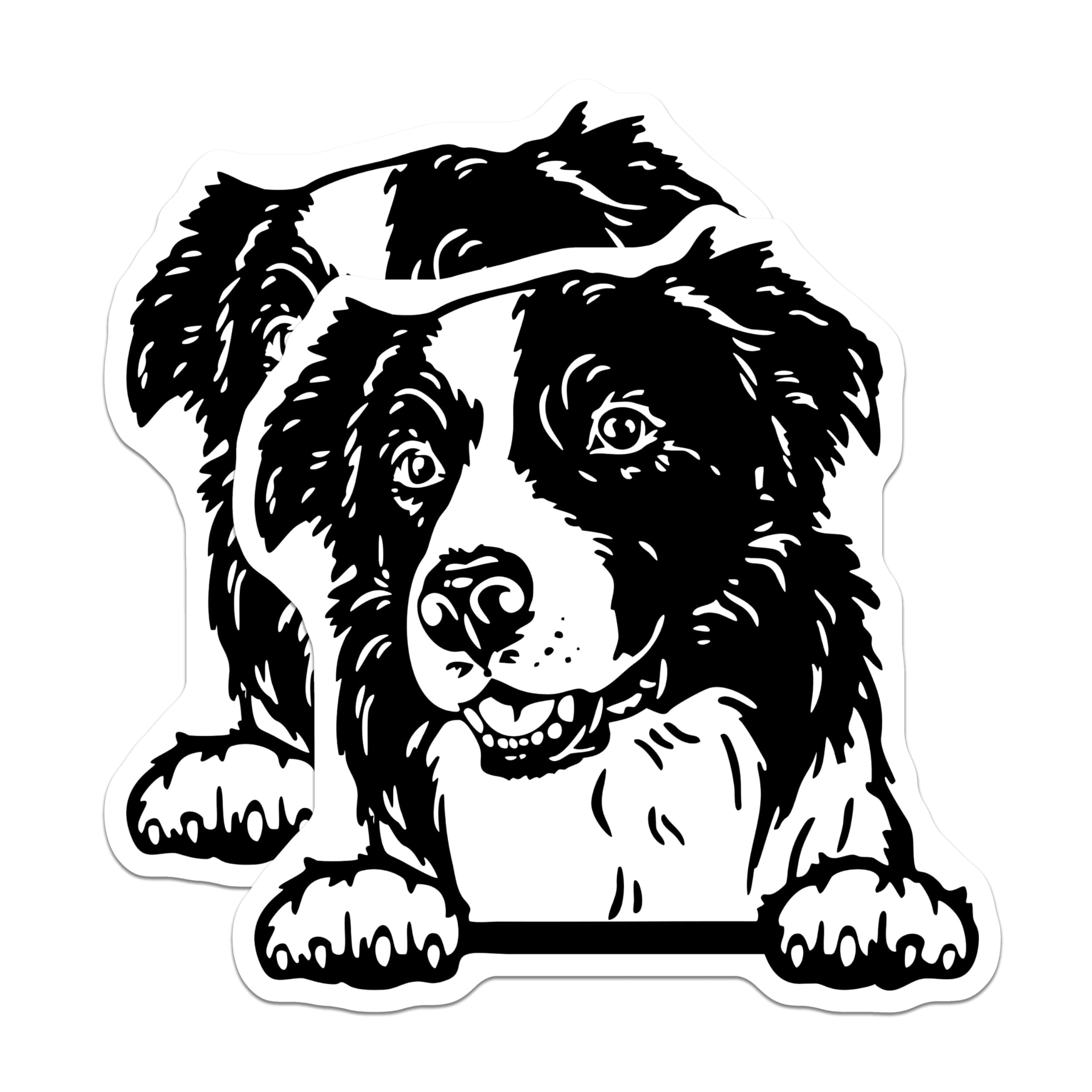 (2 Pack) Border Collie Dog Magnets - Dog Lover - Pet Themed Fridge ...