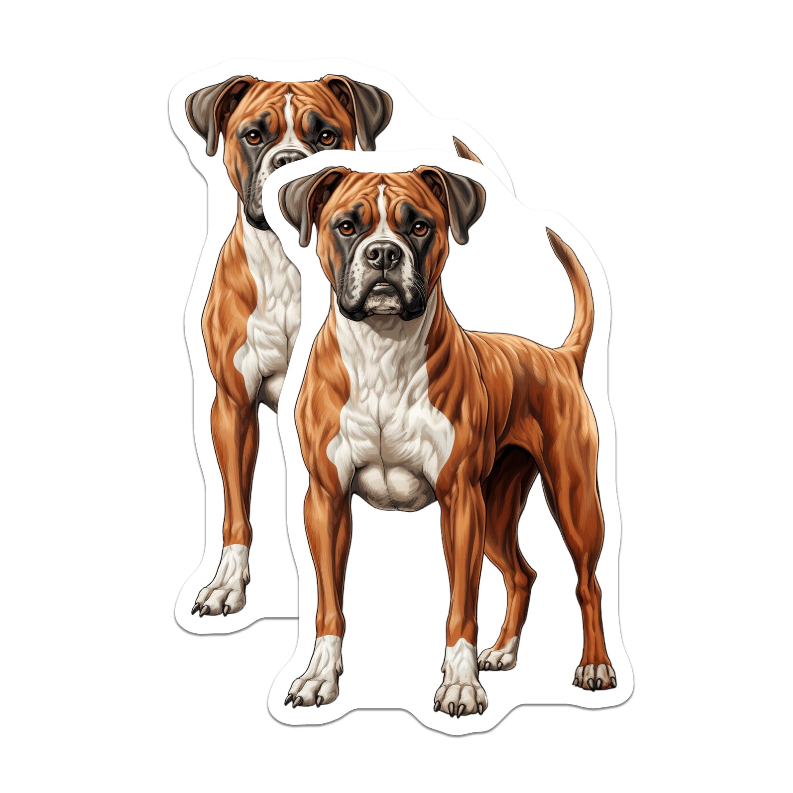 (2 Pack) Boxer Dog Stickers - Pet Lover Decals - Canine Animal Art - 5 ...