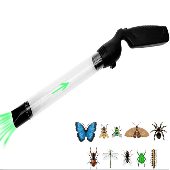 Spider in Pest Control - Walmart.com