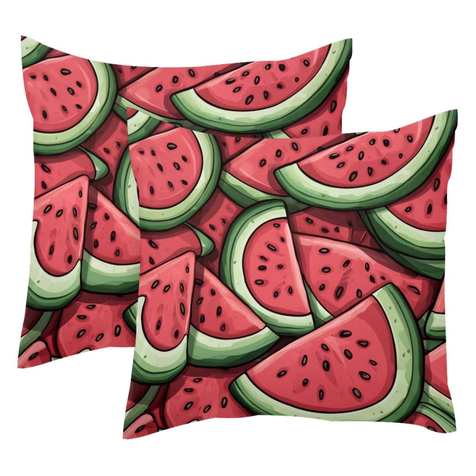 2 Pack Cartoon Watermelon Slices Pattern Throw Pillow Covers 20x20 Inch ...