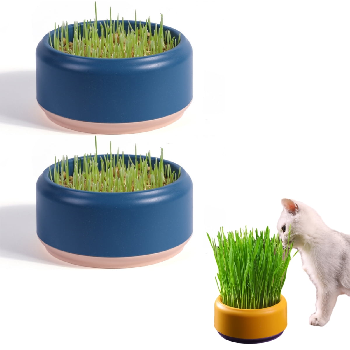 2 Pack Cat Grass Planter Trianu Hydroponic Cat Grass Cup Household Cat ...