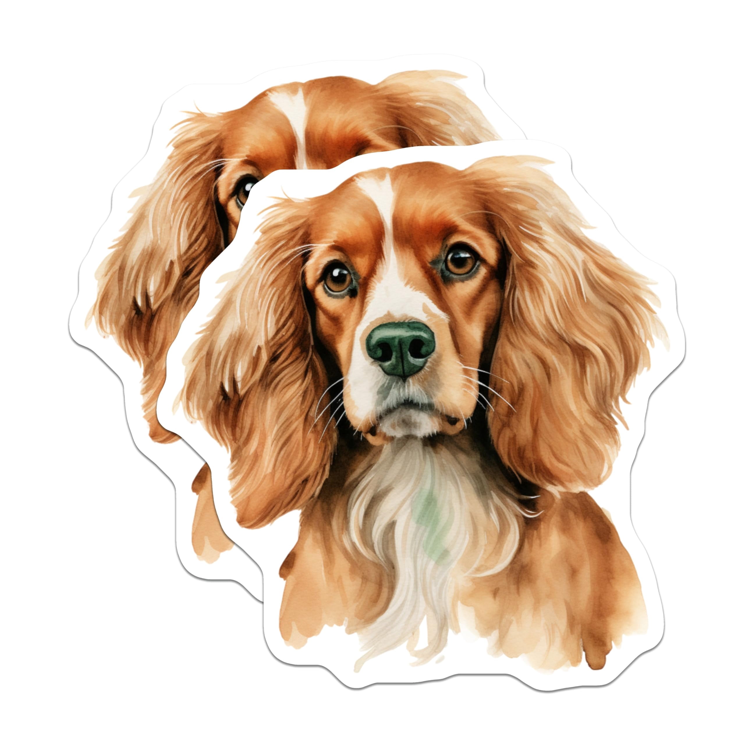 (2 Pack) Cavalier Spaniel Stickers - Watercolor Dog Art - Animal Lover ...