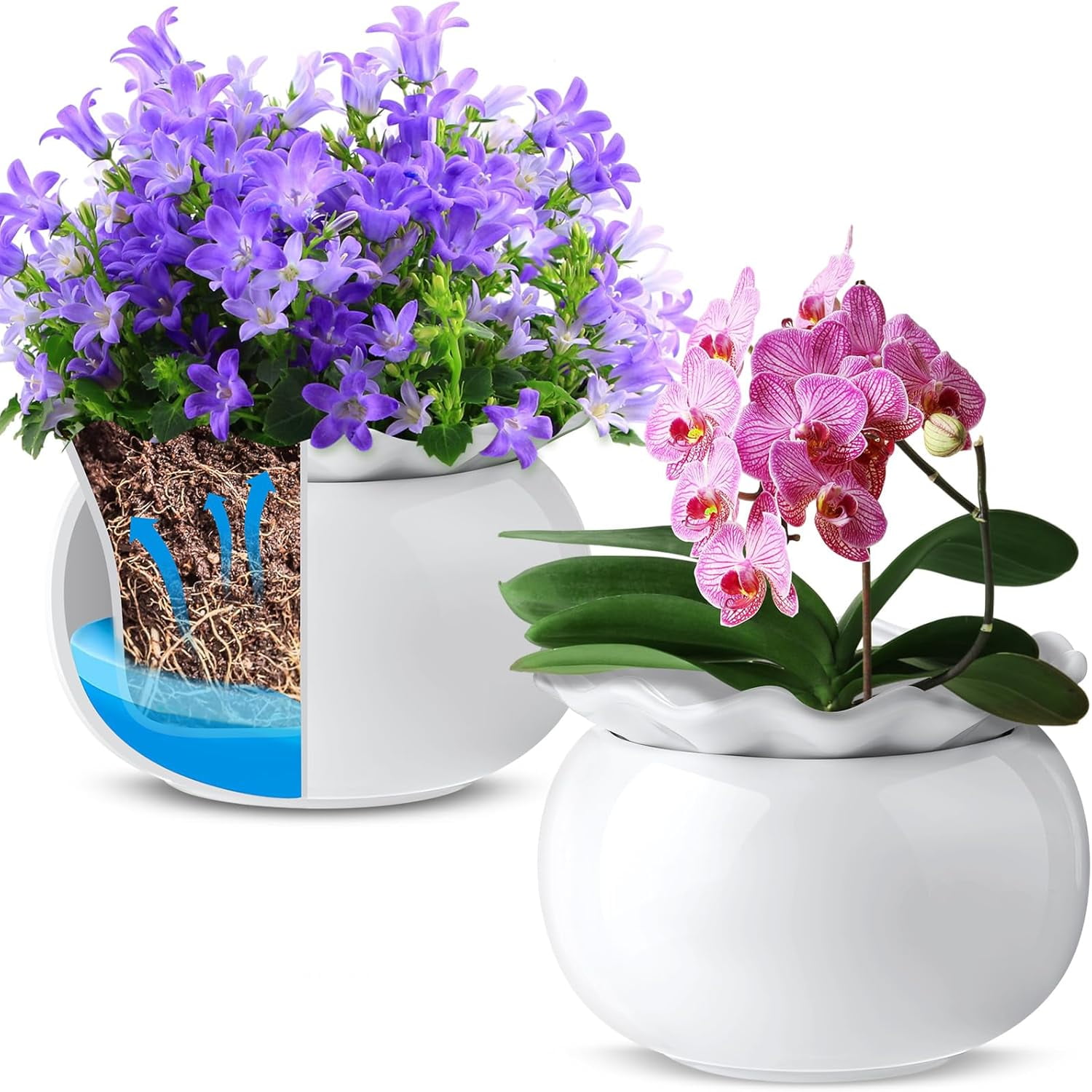 2 Pack Ceramic African Violet Pots Self Watering Plant Pot Effortless ...