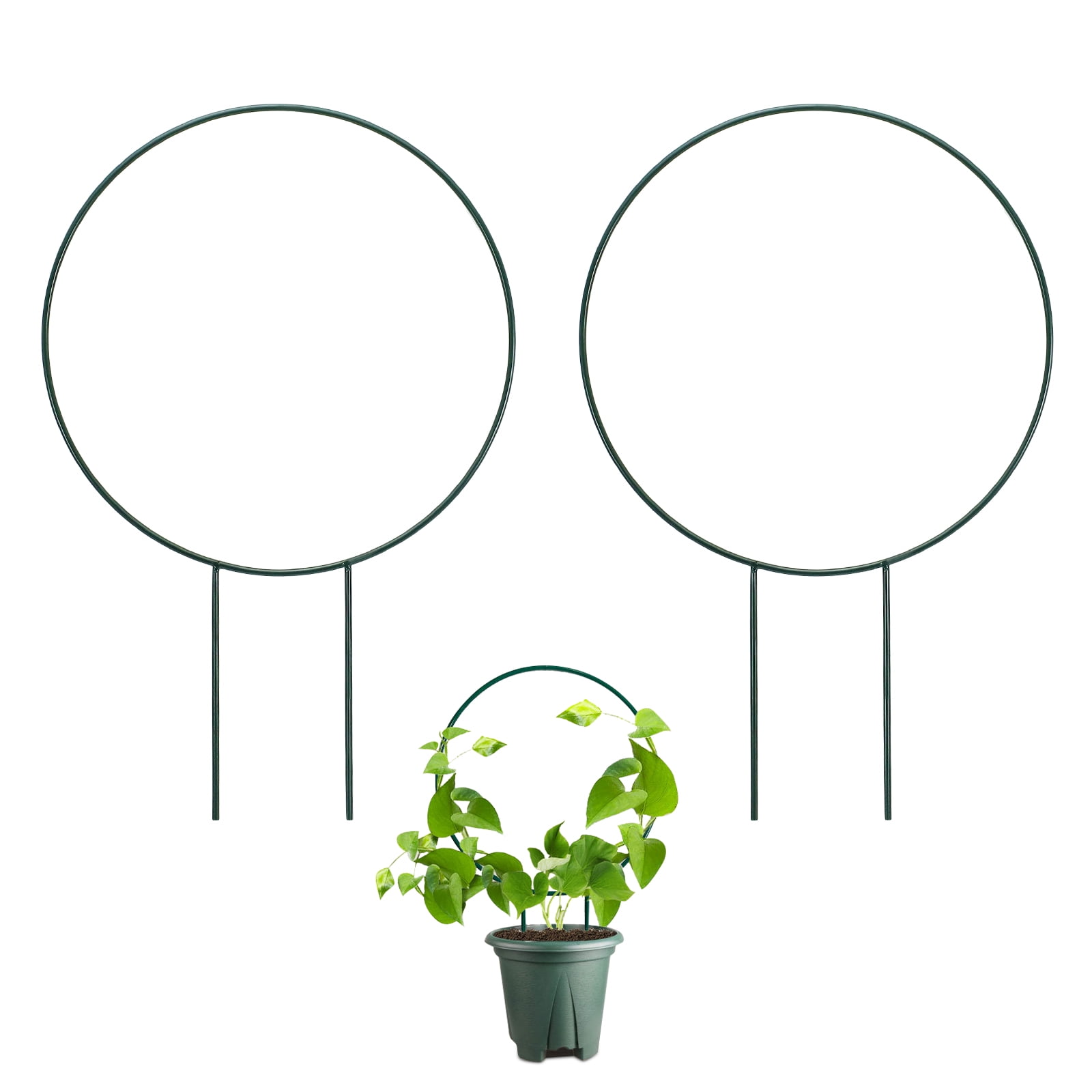 2 Pack Circle Small Trellis for Potted Plants Climbing, 13.7" Outdoor ...