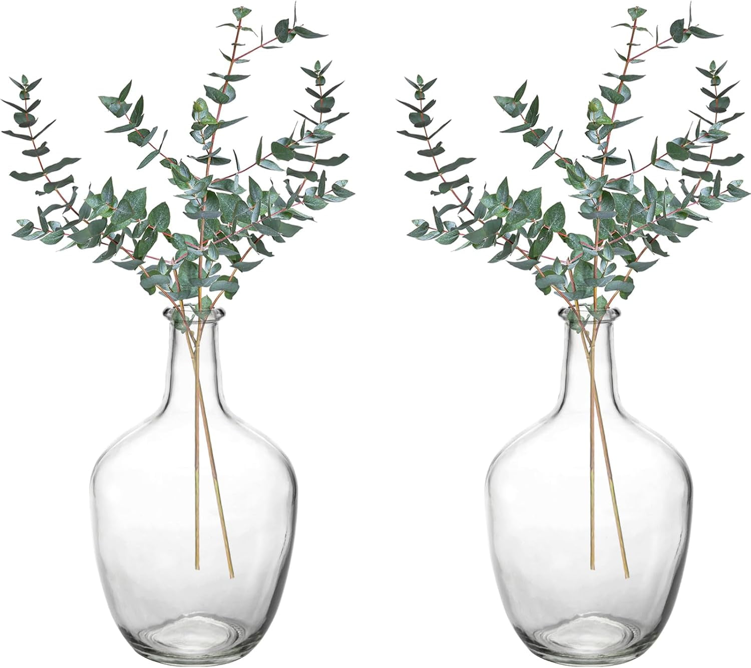 2 Pack Clear Stout Glass Vases, 10 Inch Small Decorative Balloon Jug ...