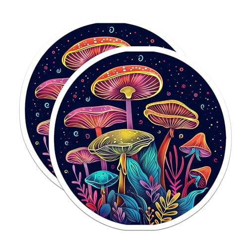 (2 Pack) Colorful Mushroom Magnets - Psychedelic Mushroom Decor ...