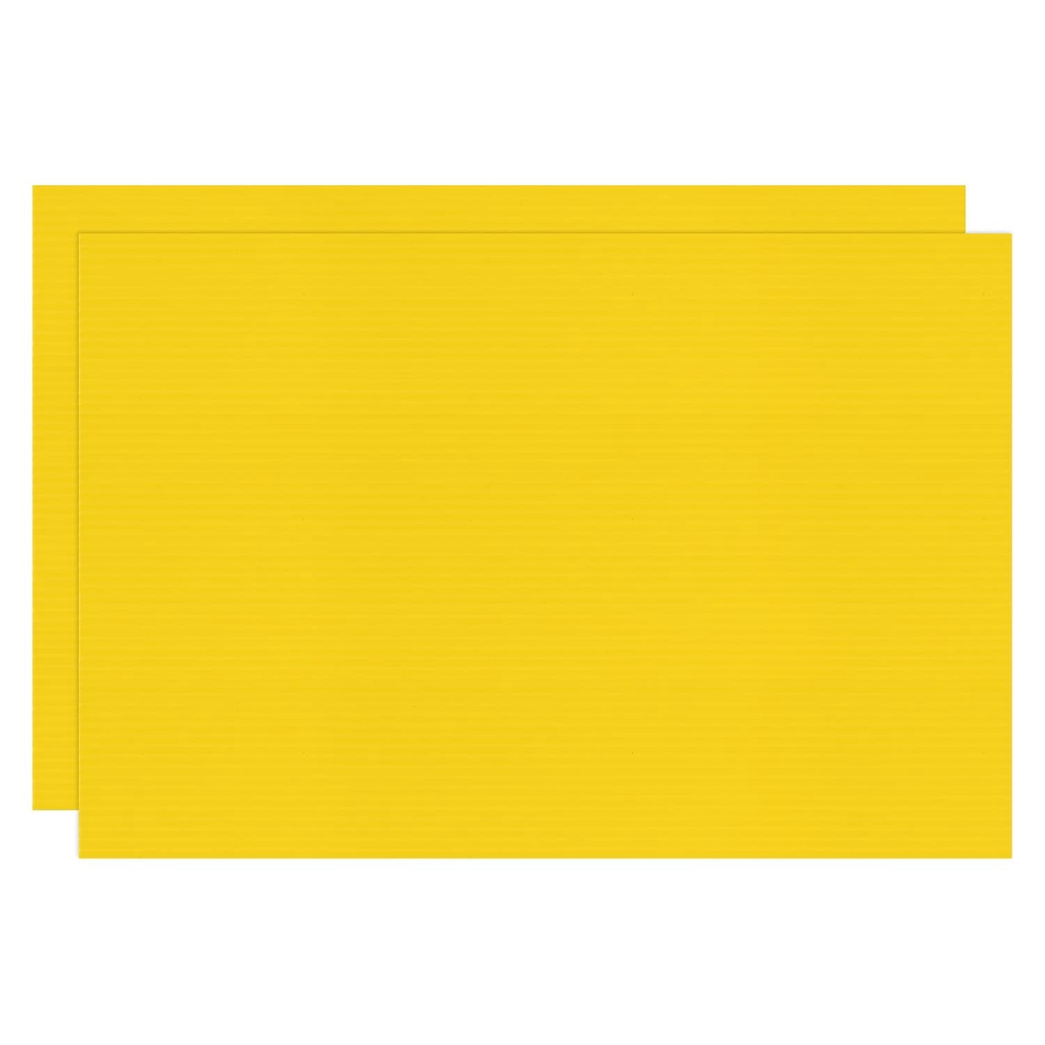 2-Pack Corrugated Plastic Sheets, 12 Inch x 16 Waterproof Blank Poster ...