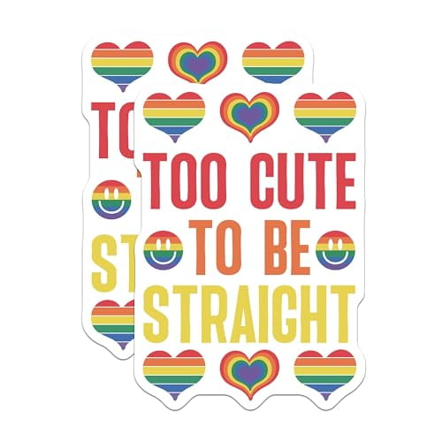 (2 Pack) Too Cute to Be Straight Magnets - Rainbow Pride Magnets ...