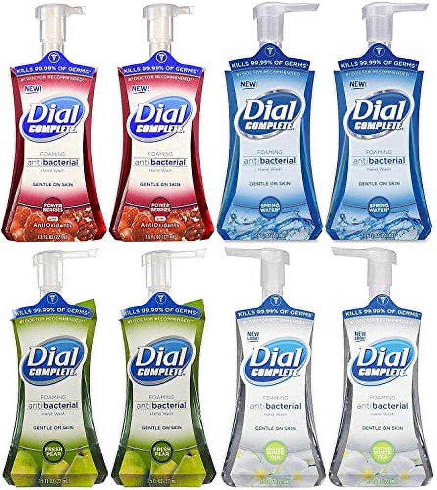 2 Pack | Dial Complete Foaming Anti-bacterial Hand Wash Variety 4 Ct ...