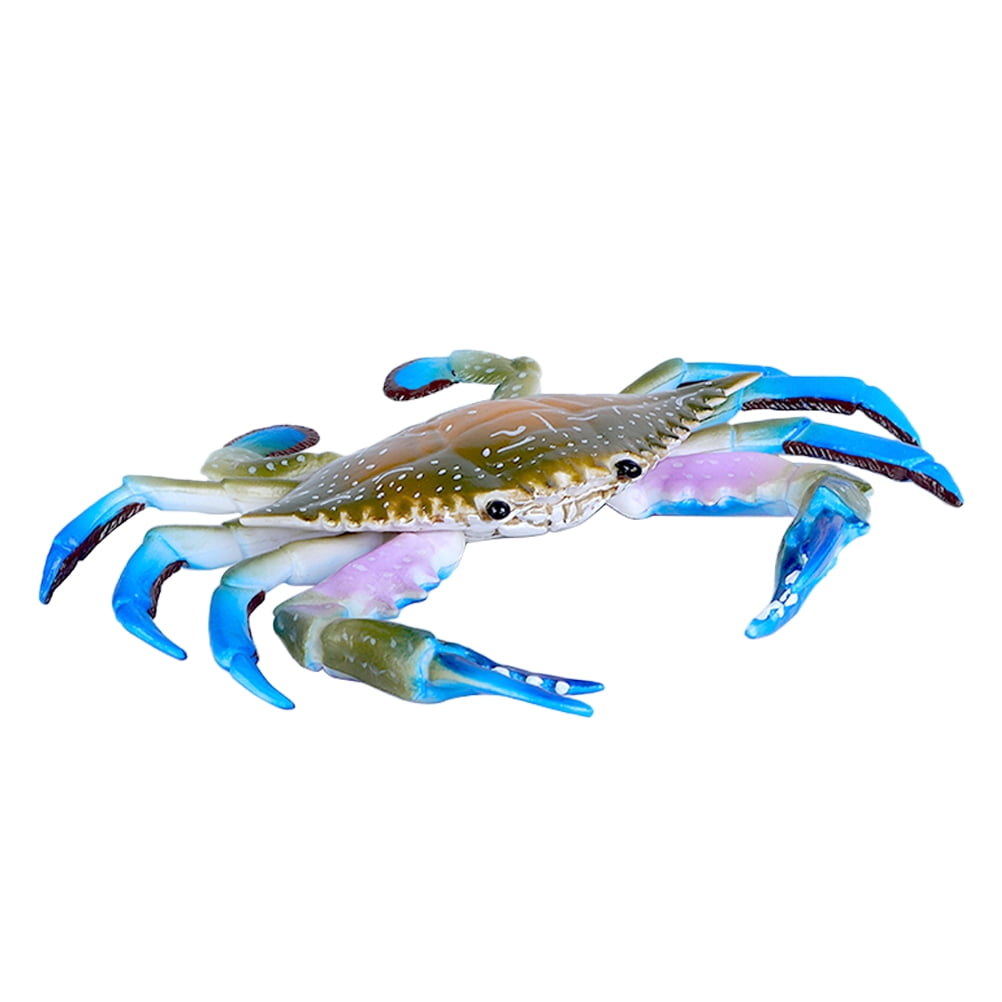 2 Pack Educational Toy Marine Organism Model Artificial Animals ...