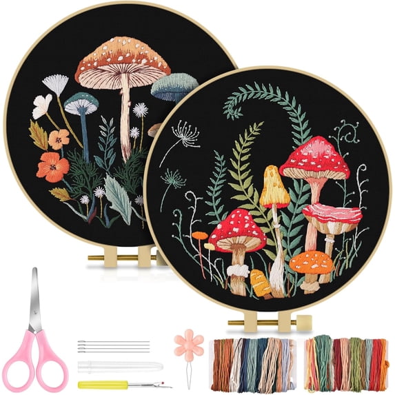 2 Pack Embroidery Kit for Adult Beginners, Embroidery DIY Starter Kit ...