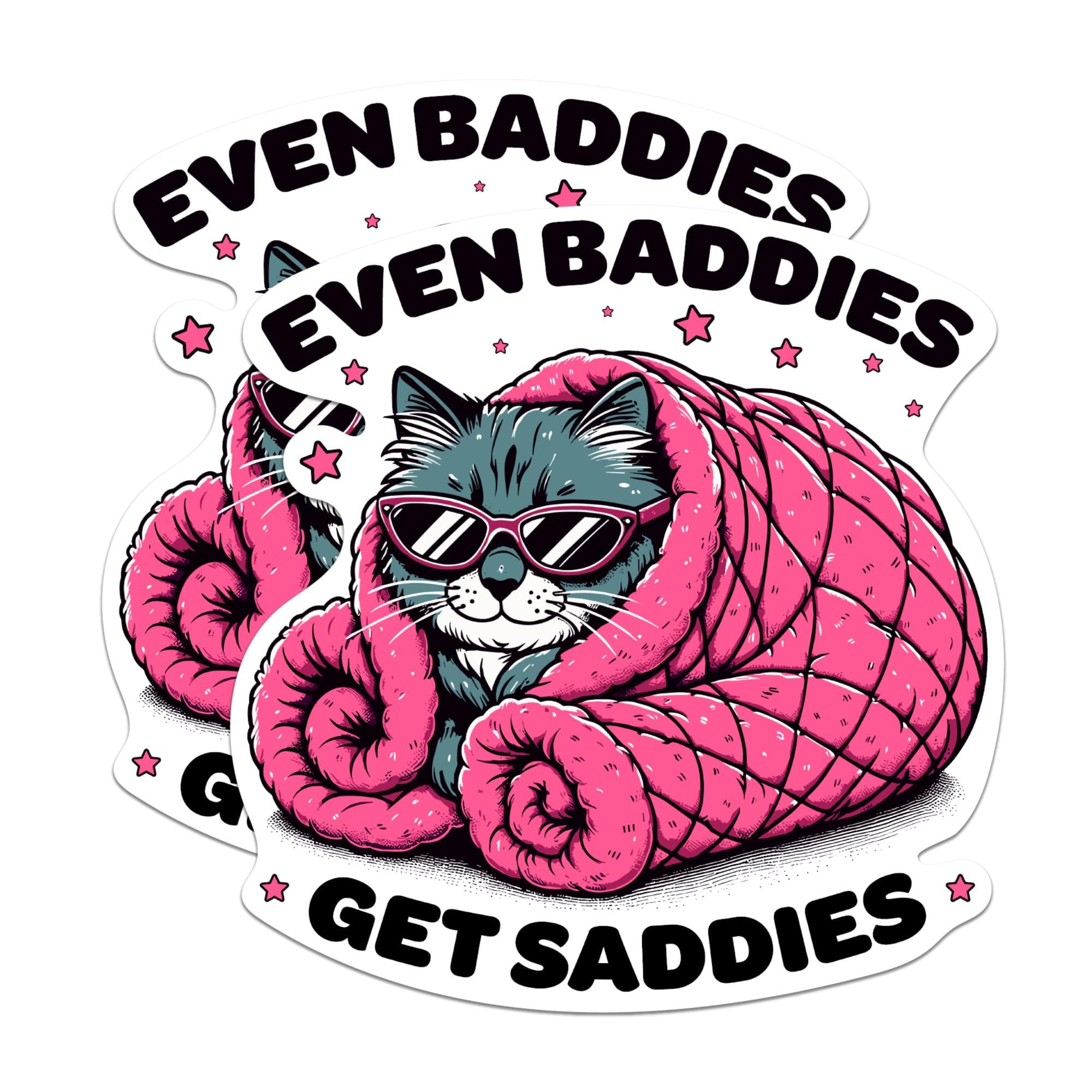 (2 Pack) Even Baddies Get Saddies Cute Raccoon Stickers - Positive ...