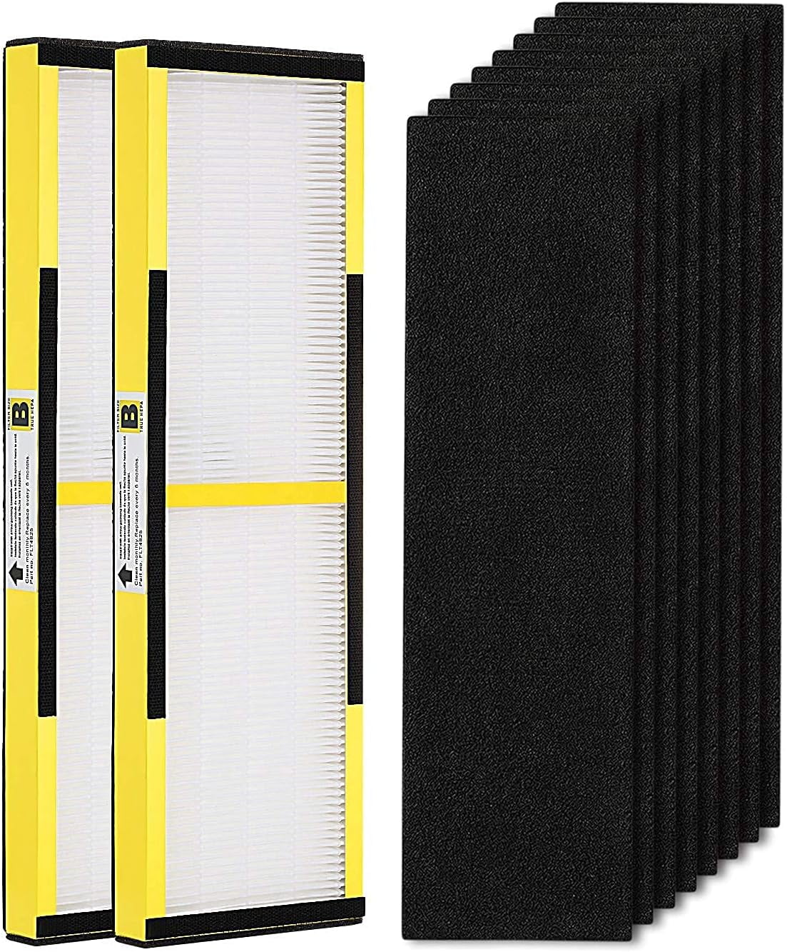 2 Pack FLT4825 True HEPA Filter B Replacement with Activated Carbon Pre ...