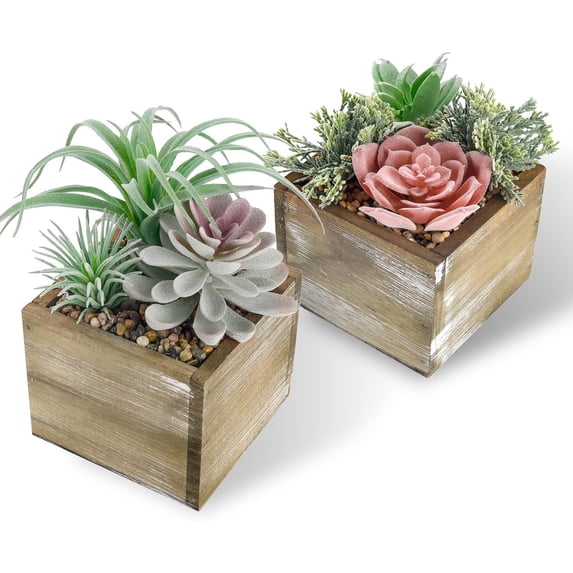 2 Pack Fake Plants Succulents Plants Artificial Cactus Plants in Wood ...