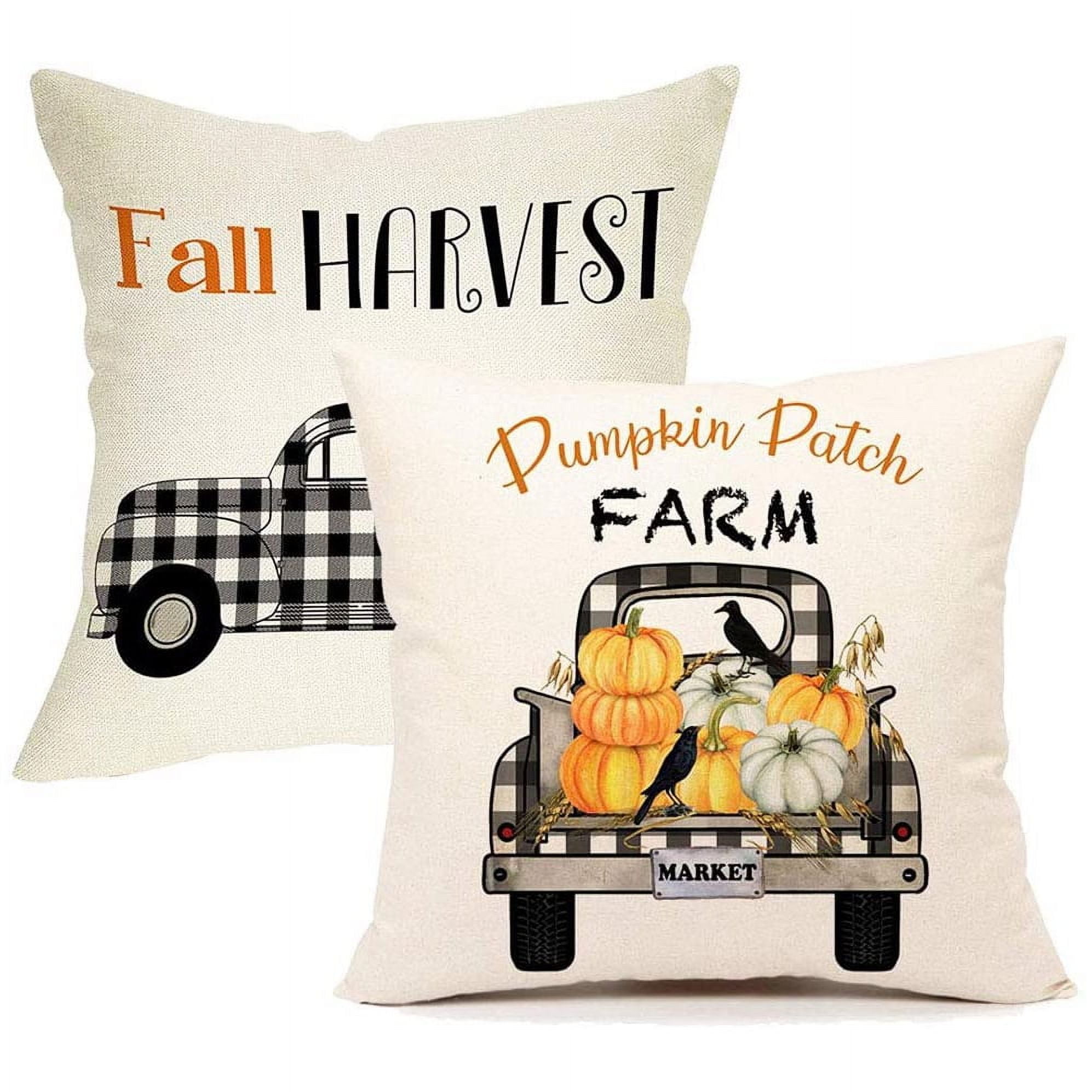 2-Pack Fall Pumpkin Harvest Pillow Covers 18 x 18 Inches Autumn Festival Thanksgiving Decorative ...