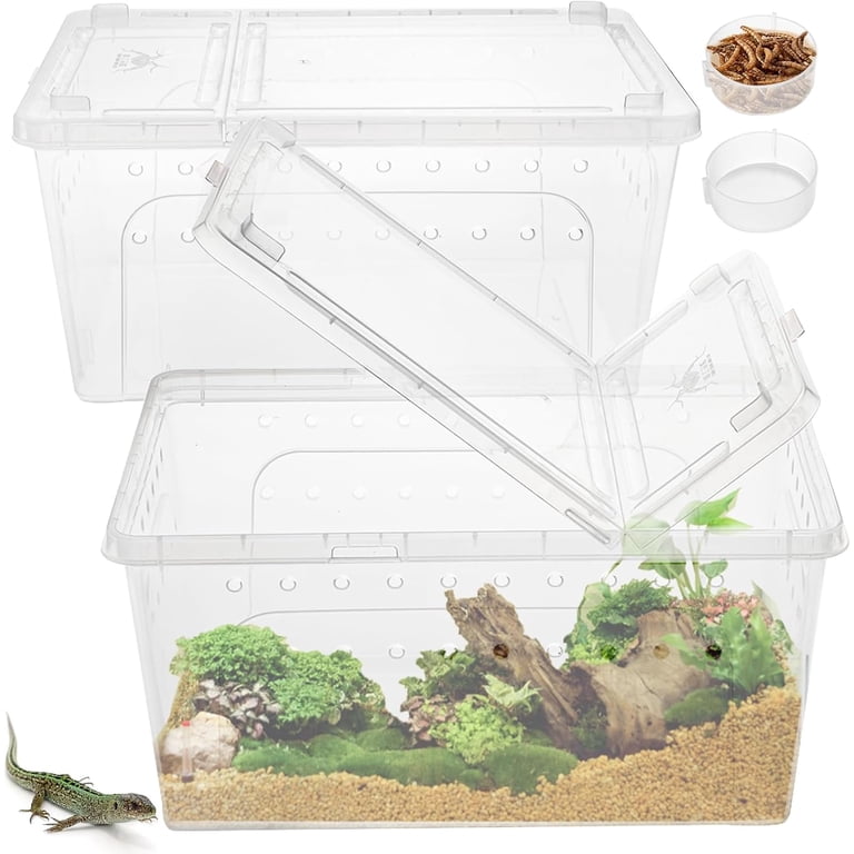 Snake Plastic Containers