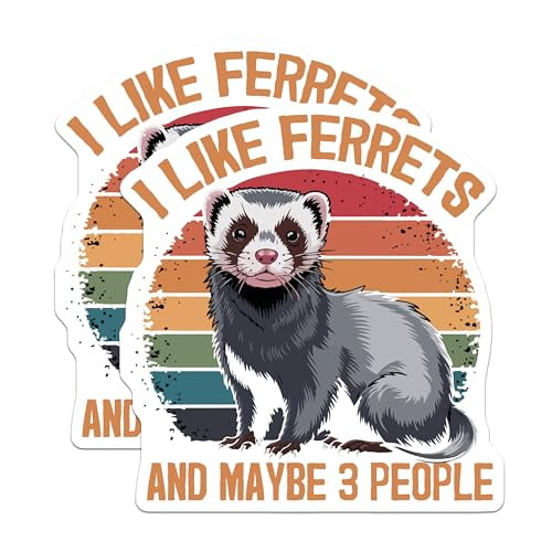 (2 Pack) Ferret Lover Magnets - I Like Ferrets and Maybe 3 People ...