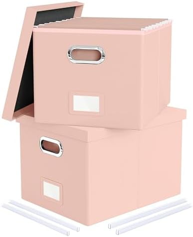 2 Pack File Storage Organizer, Portable File Box with Lid, Fit for ...
