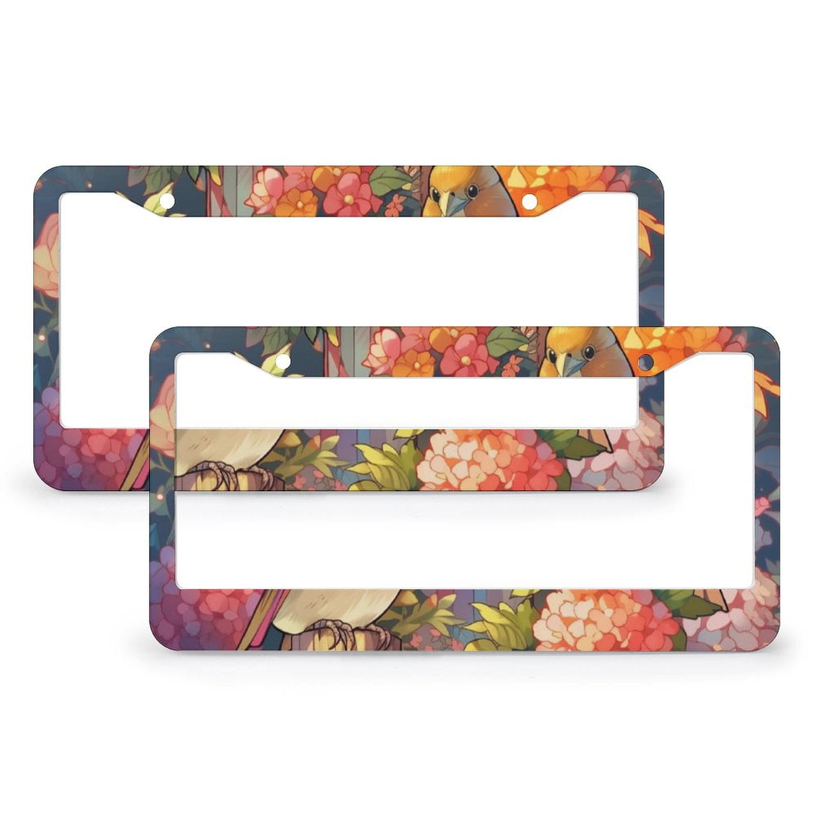 2 Pack Flowering Garden And Colorful Birdhouses License Plate Cover ...