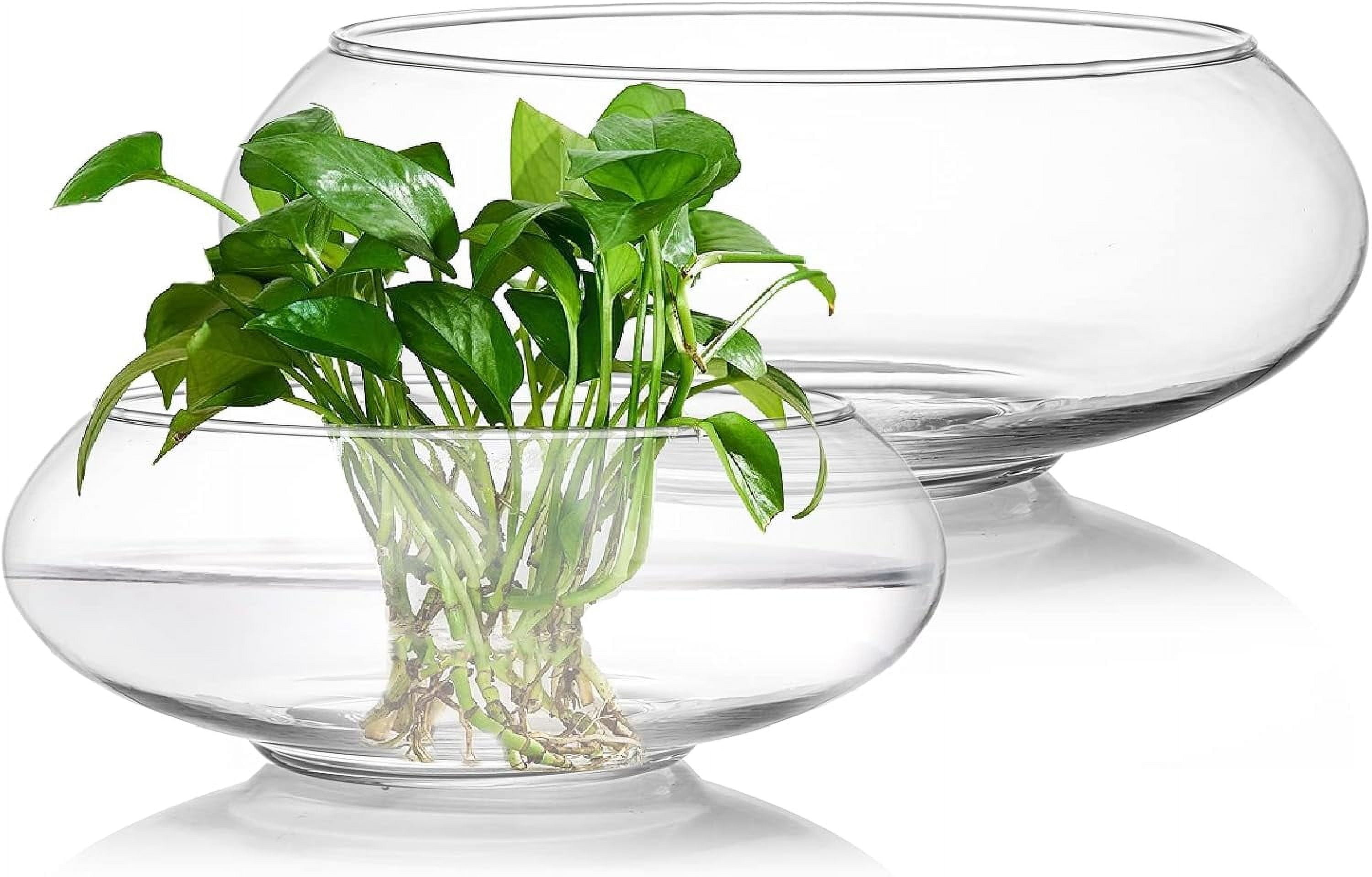 2 Pack Glass Vase Bowl, 6"/ 8" Wide Mouth Flower Vase Round Terrarium ...