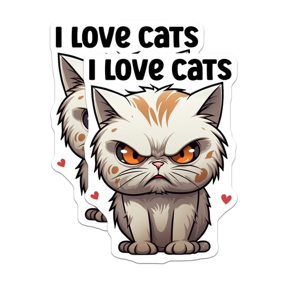 (2 Pack) Grumpy Cat Magnets - Funny Cat Lover Refrigerator Decor ...