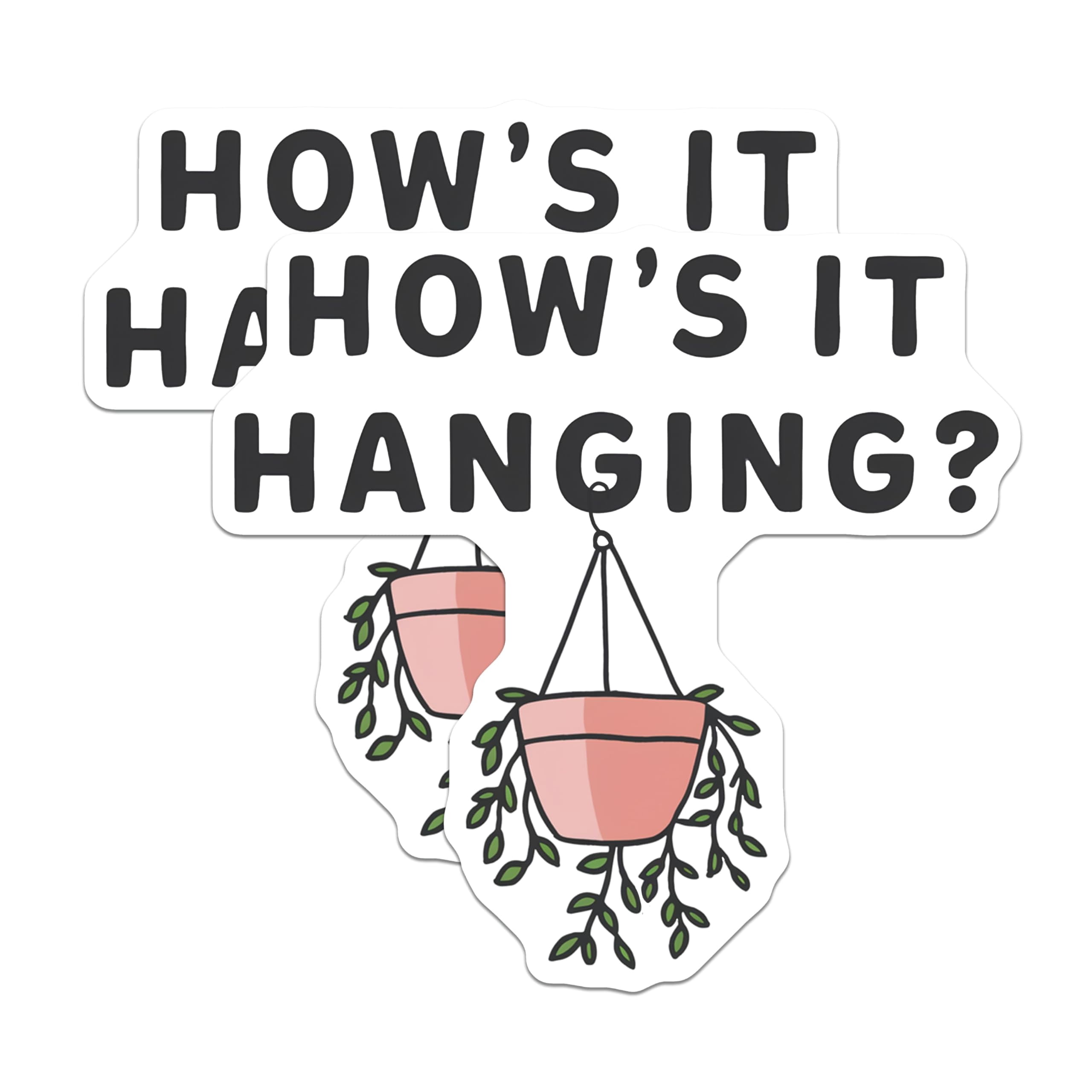 (2 Pack) How's It Hanging Magnets - Funny Puns - Hanging Plant Humor ...