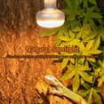 2 Pack Heat Lamp 100W, Intense Basking Spot Simulated Natural Sunlight ...