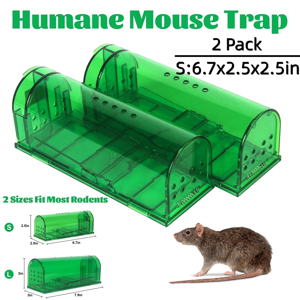 2 Pack Humane Mouse Traps Catch and Release Indoor/Outdoo , Safe for Children, Pets and Humans ...